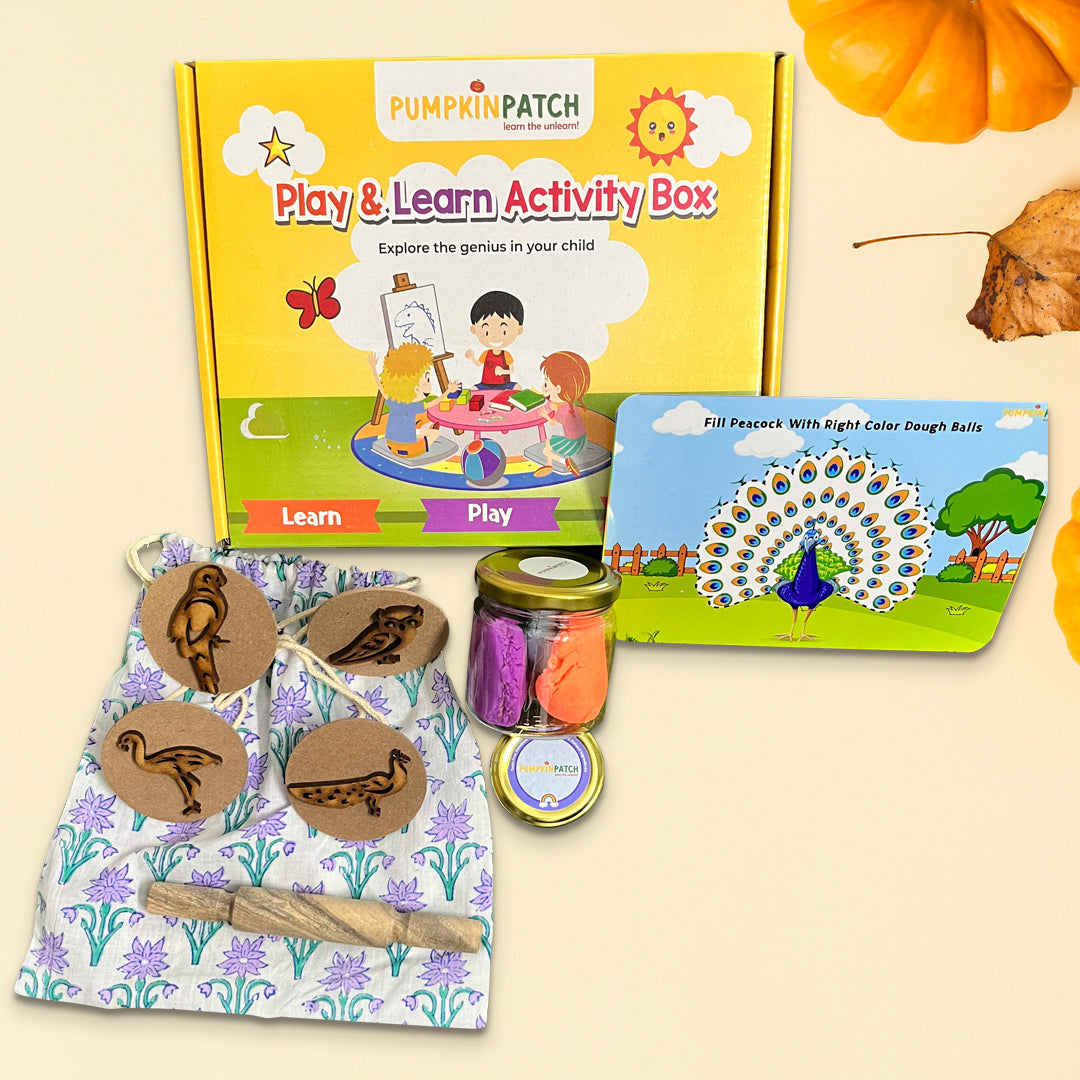 Happy Birdie Play Dough Kit – Pumpkinpatch Kids